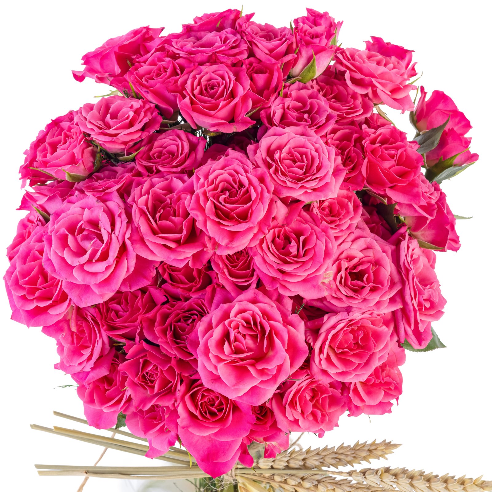 Pretty Pembe Roses | Taze Çiçek