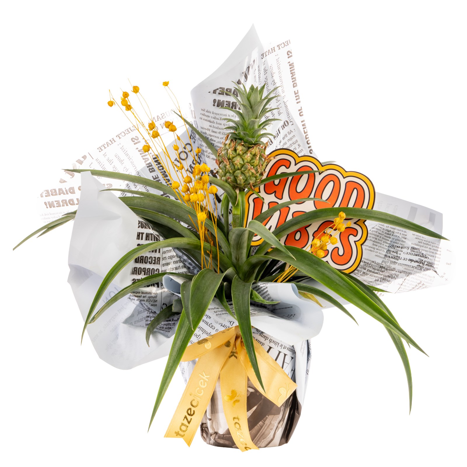 Positive Twist Ananas Bitkisi | Taze Çiçek